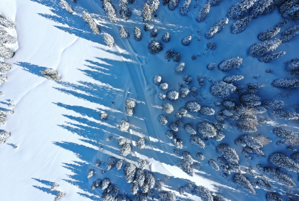 Entdecken Sie den Zauber des Skilanglaufs und verwöhnen Sie Ihren Gaumen mit einem ...